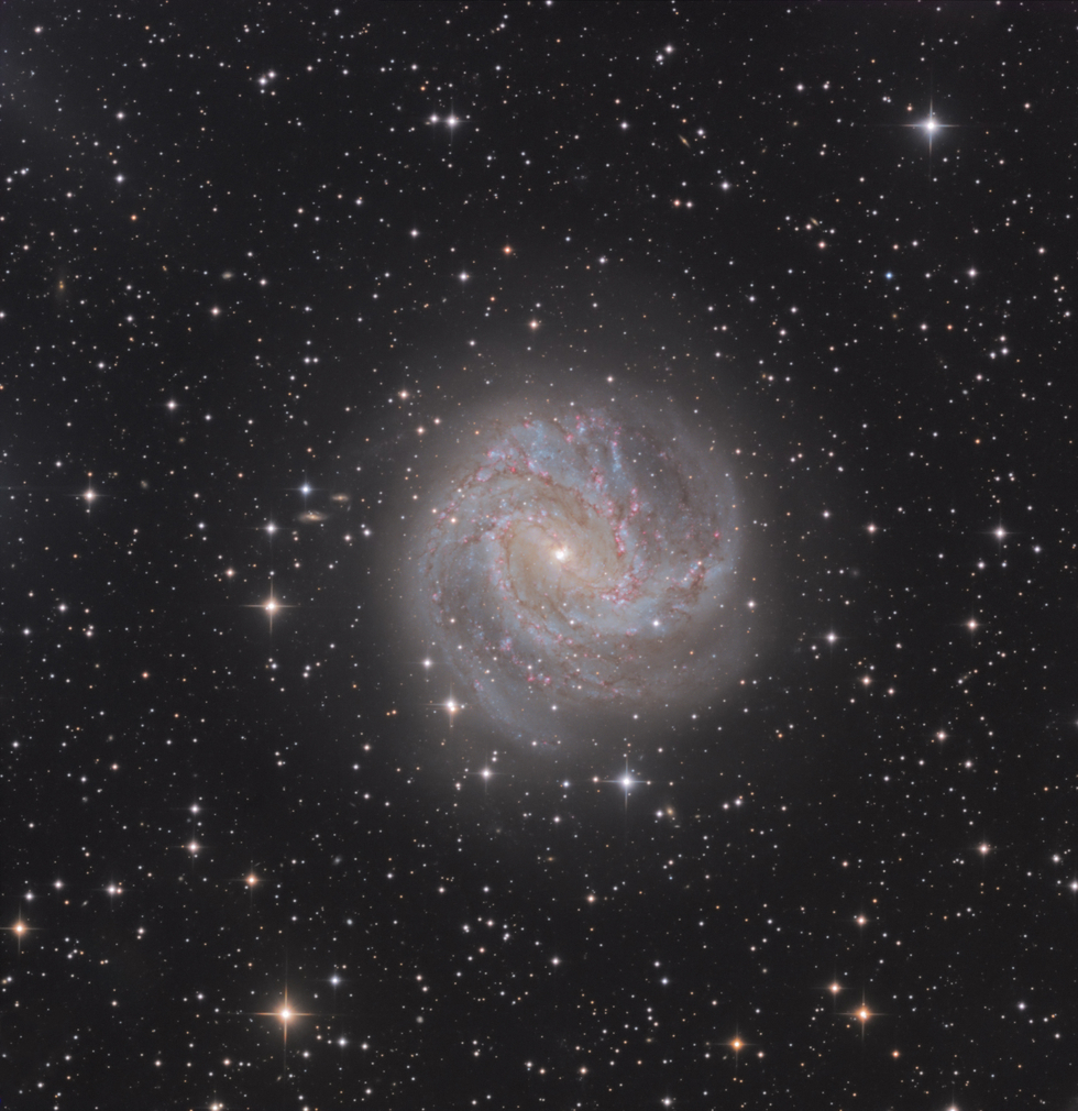 Messier 83 The Southern Pinwheel Galaxy | Telescope Live